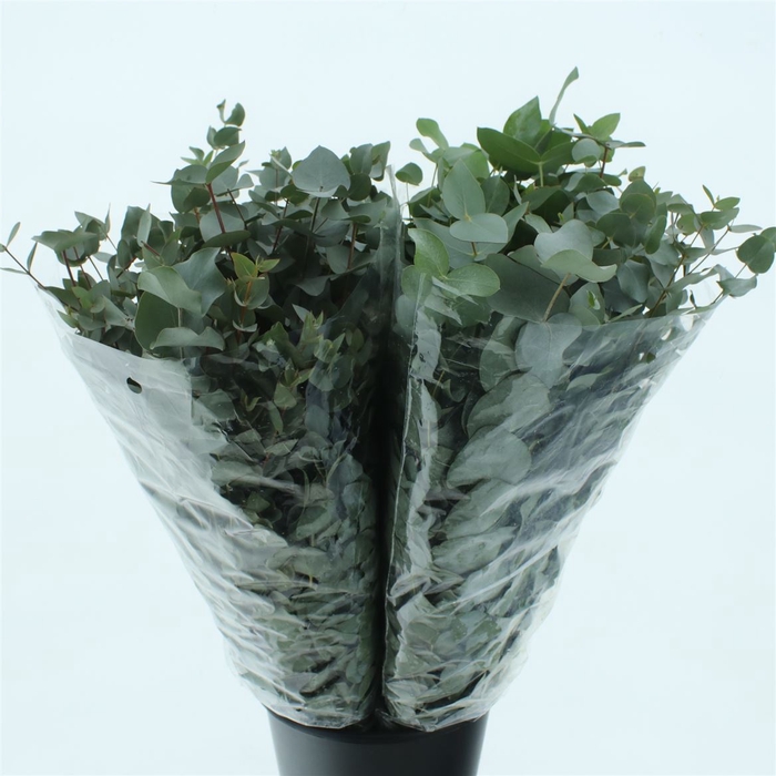 A&Z Flowers Webshop