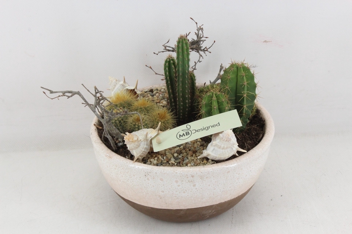 Harry van Hunen Webshop