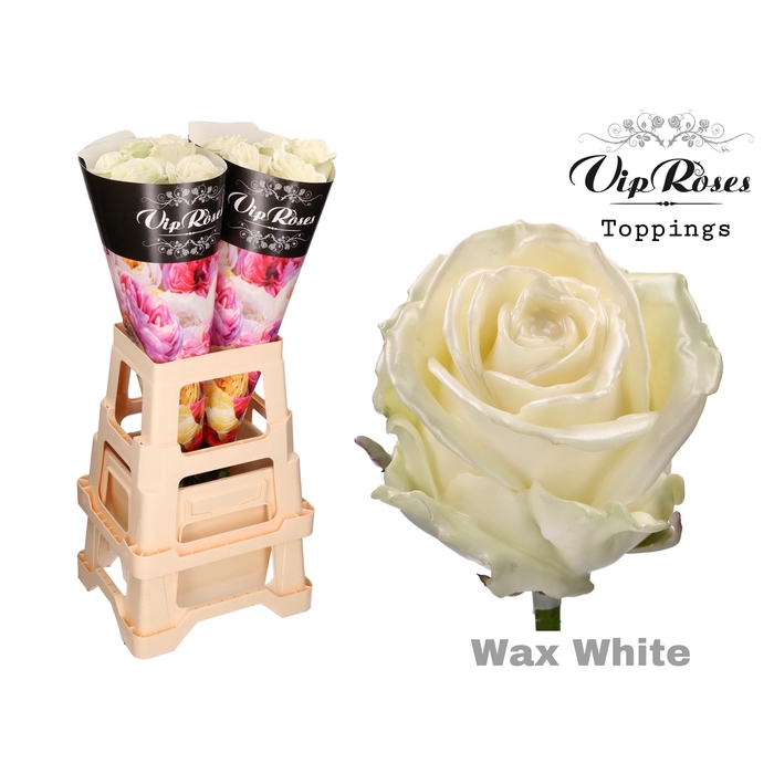 Vip Roses Webshop